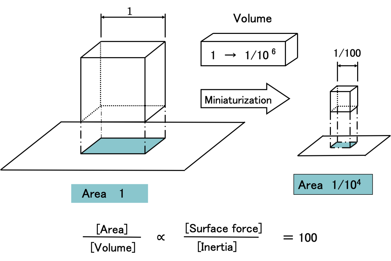 マイクロトライボロジー、トライボロジー入門、凝着力と摩擦力 | MEMS＆トライボロジー研究室